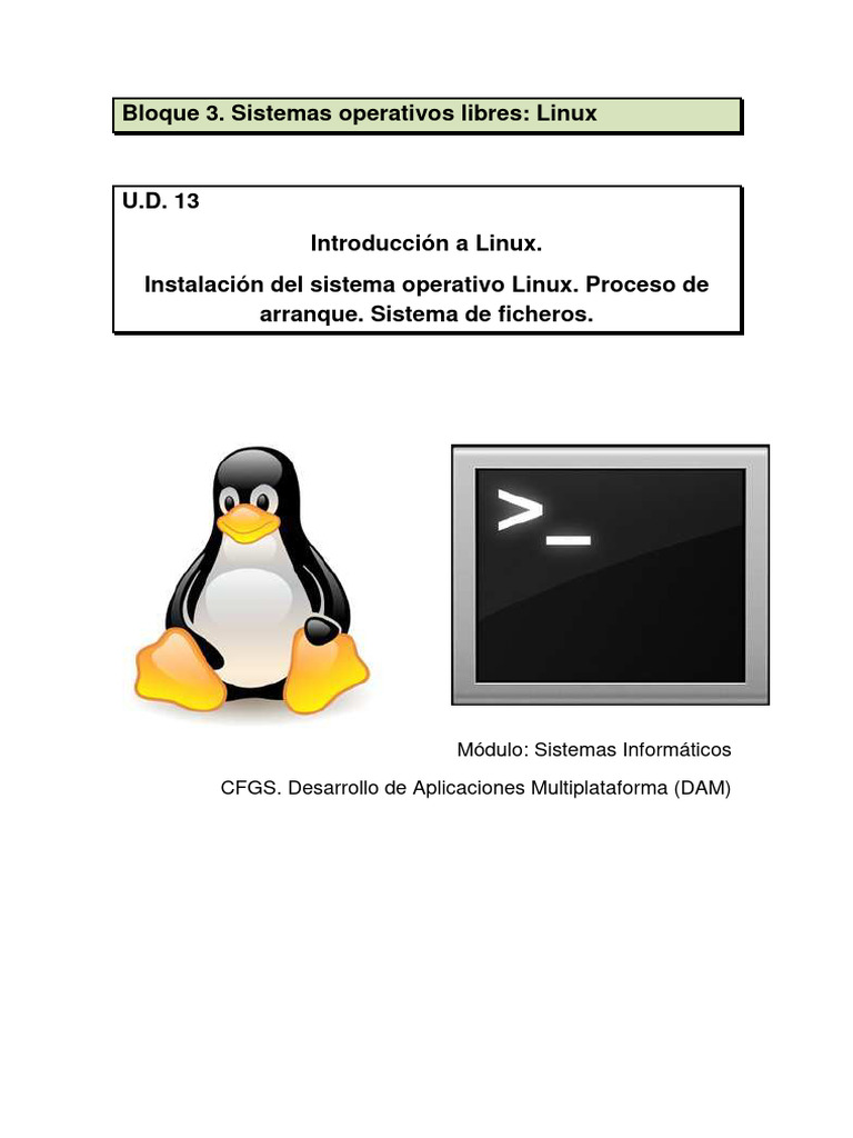 SI - UD13. Instalacion Del SO Linux. Proceso de Arranque | PDF ...