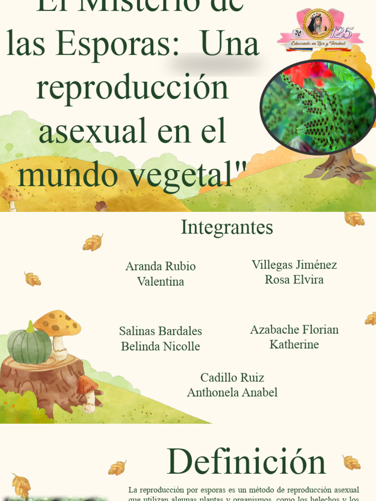Evolución De Las Esporas De Las Plantas Plantas Y Hongos