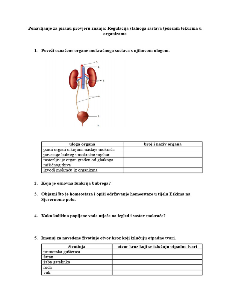 Ponavljanje - Regulacija Stalnoga Sastava Tjelesnih Tekućina U Organizama | PDF