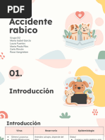 Guía de Profilaxis Antirrábica Humana | PDF | Rabia | Biología