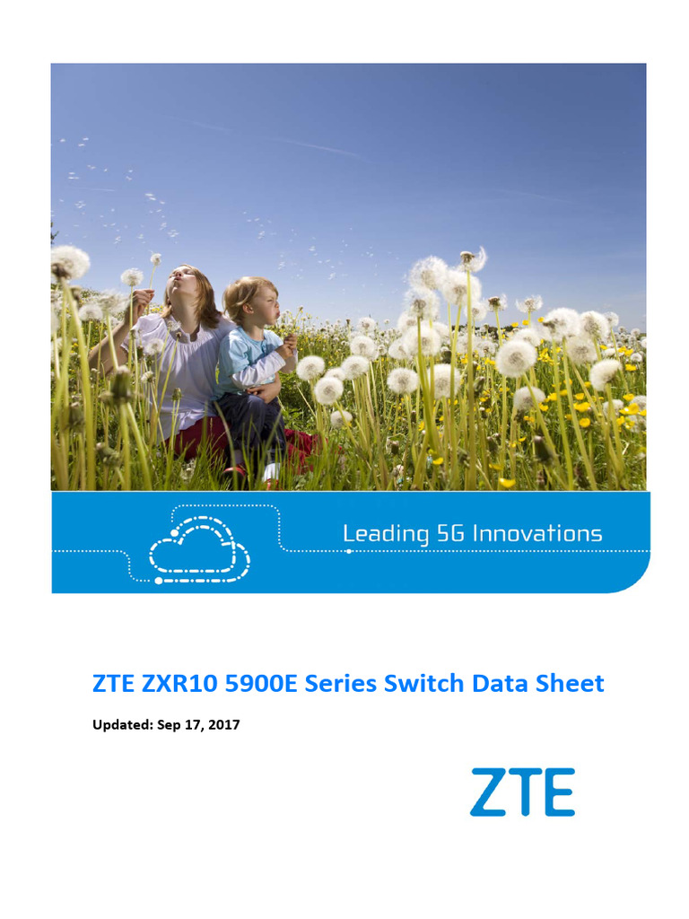 ZTE ZXR10 5900E Series Switch Data Sheet | PDF | Computer Network ...