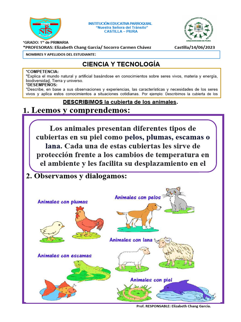 Fichas de Ciencia y T. (Enviar) 1er Grado-2023 | PDF | Libros para ...