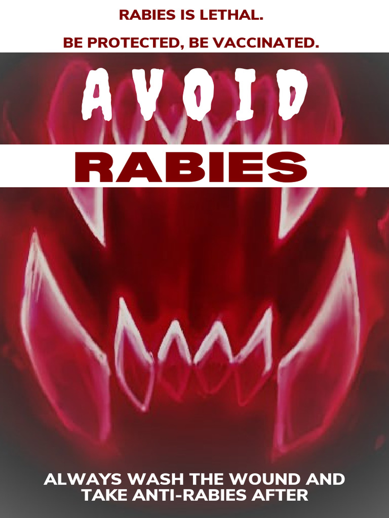 Rabies Poster | PDF