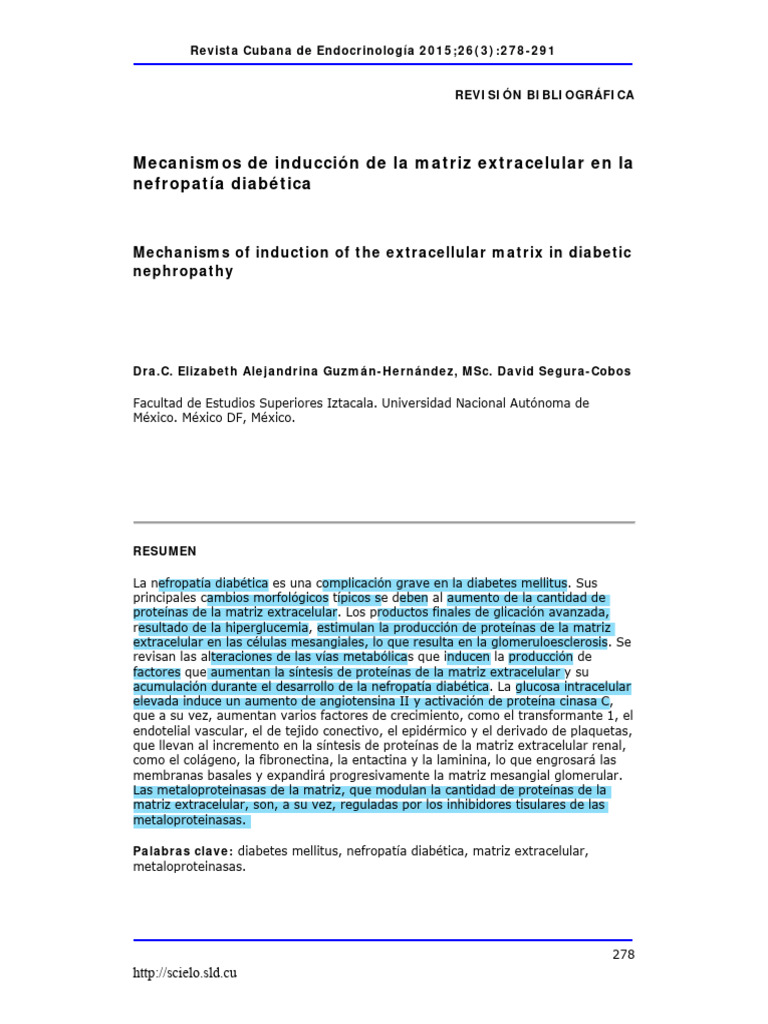 Mec 1 | PDF | Factor de crecimiento vascular endotelial | Apoptosis