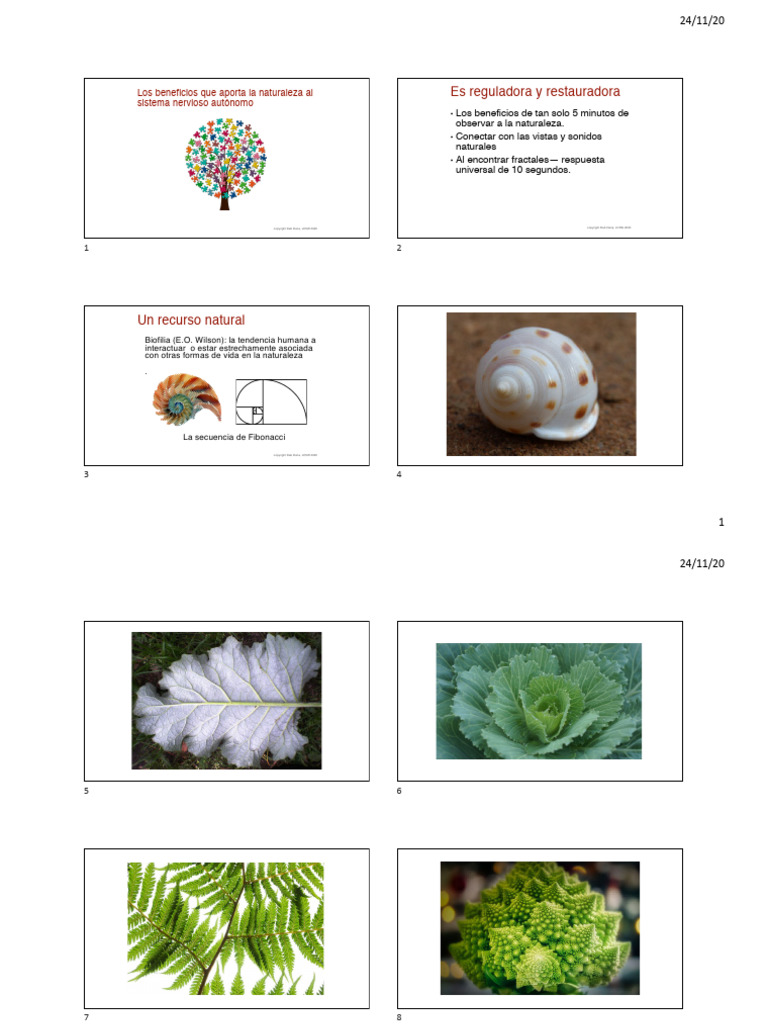 Powerpointsdelmodulo4PDF 201124 230533 | PDF | Respiración | Amor