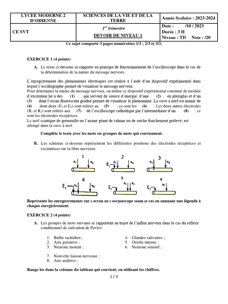 Devoir Corrigé SVT 1ère D - 2023 | PDF | Acétylcholine | Nerf