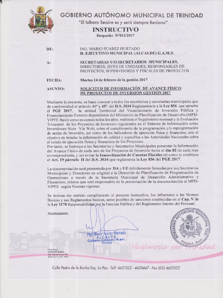 Instructivo para Avance Fisico Proyectos de Inversion | PDF