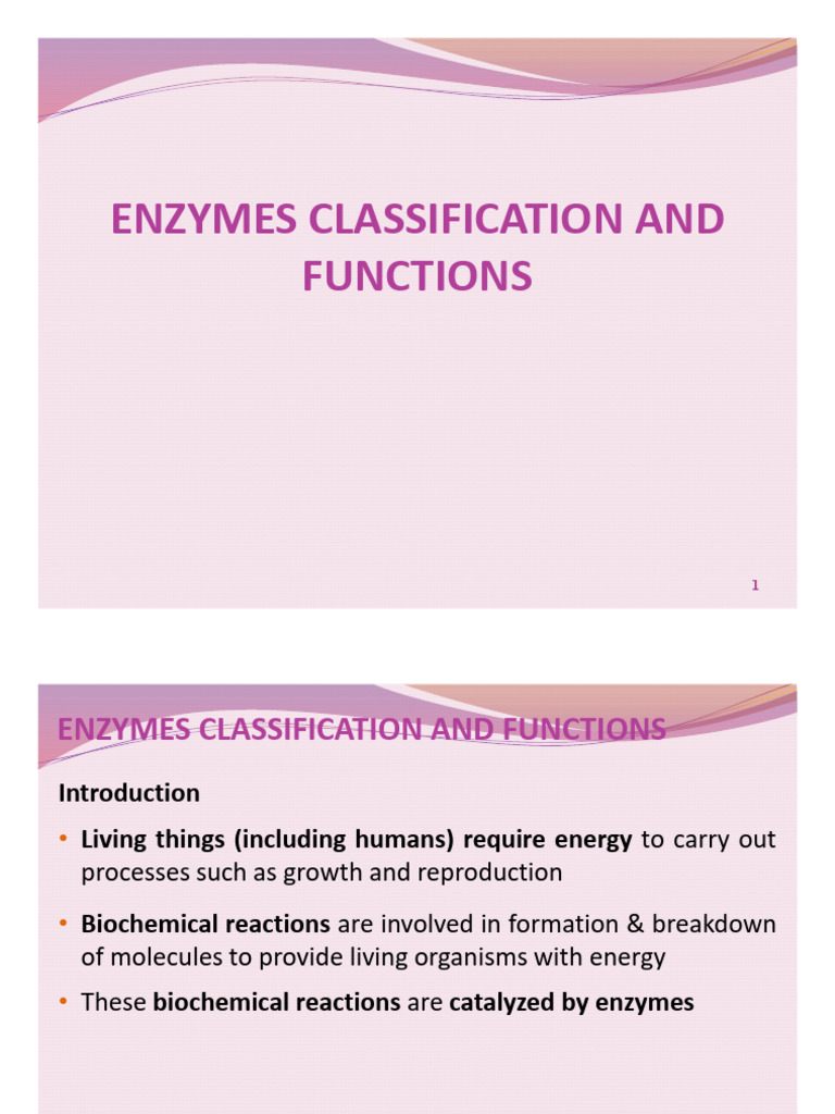 B Topic 7 - Enzymes - Structure, Functions, and Classification | PDF | Cofactor (Biochemistry ...