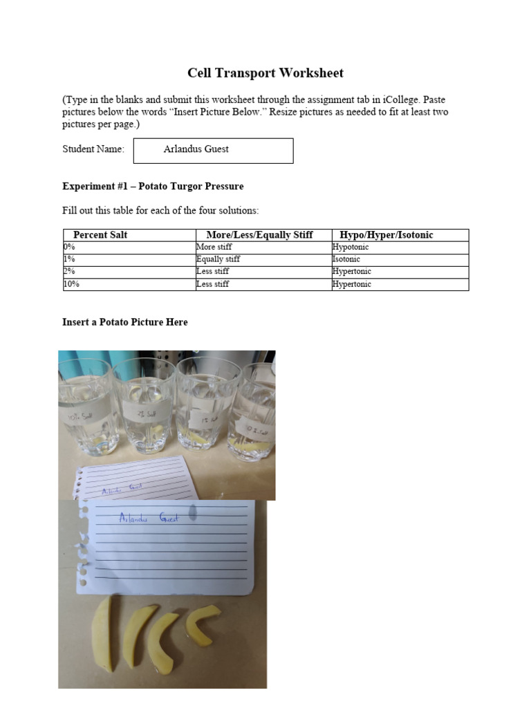 Cell Transport Worksheet | PDF