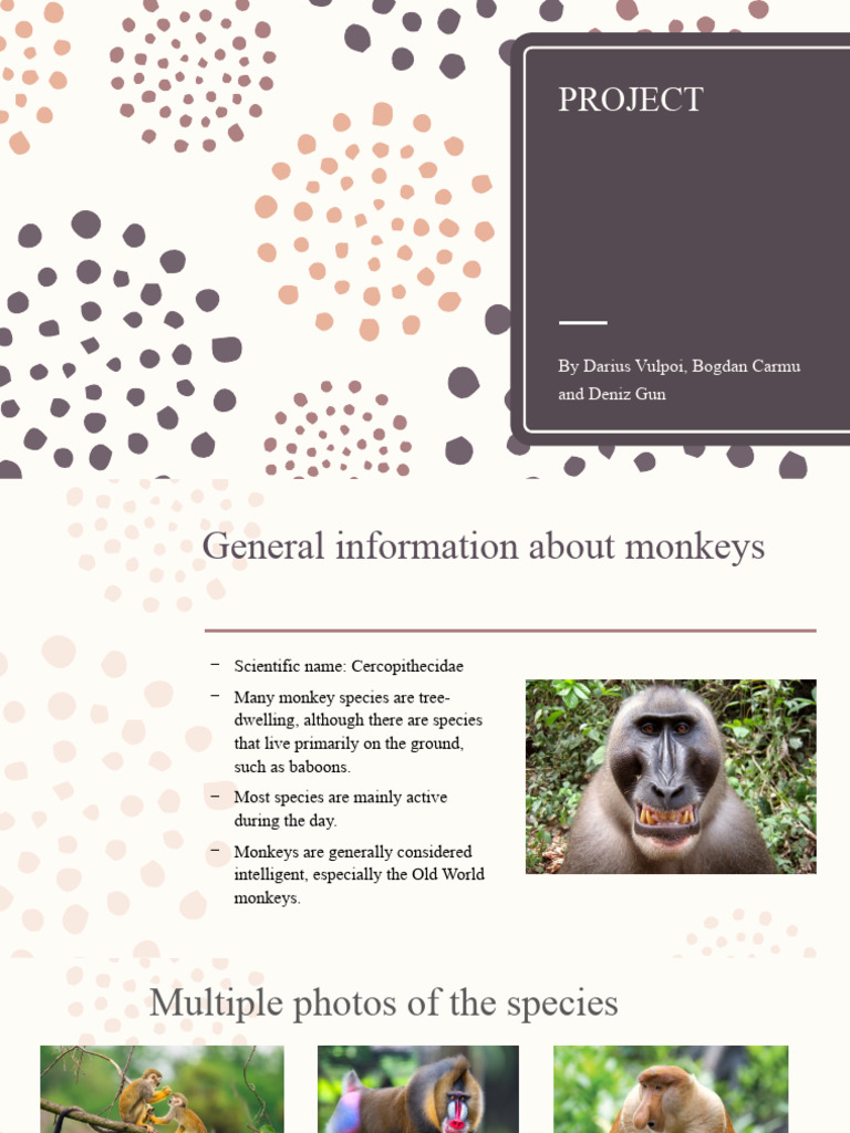 Overview of Monkey Species and Habitats | PDF | Reproduction | Organisms