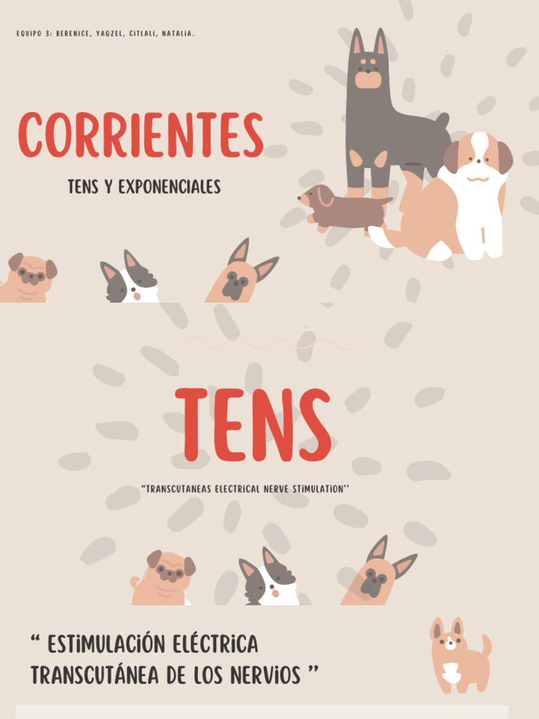 Corrientes Tens y Exponenciales | PDF | Dolor | Especialidades Medicas