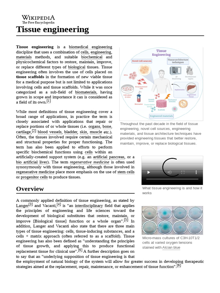 Tissue Engineering | PDF | Tissue Engineering | Cell Potency