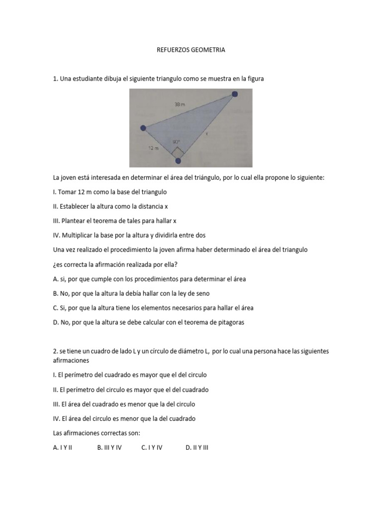 Prueba Saber Geometria | PDF | Triángulo | Formas geométricas