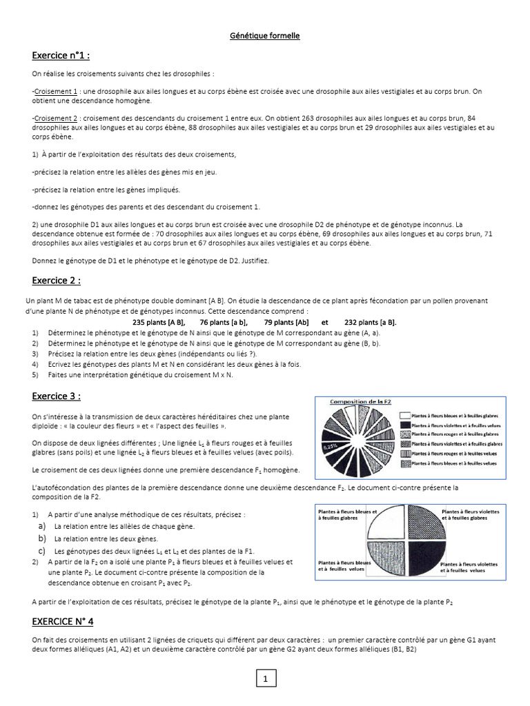 Série Génégtique Formelle 2023 2024 | PDF | Dominance (Génétique ...