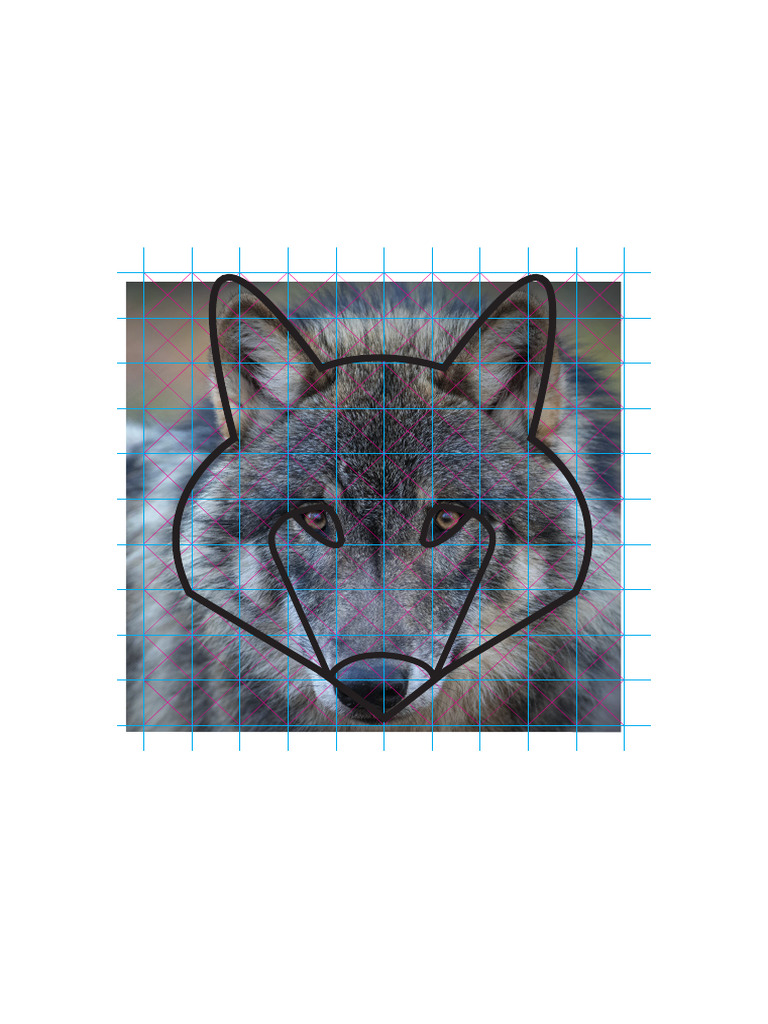 Animal | PDF