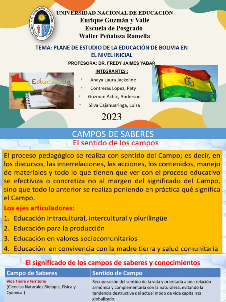 Planes de Estudio en Bolivia | PDF | Educación de la primera infancia ...