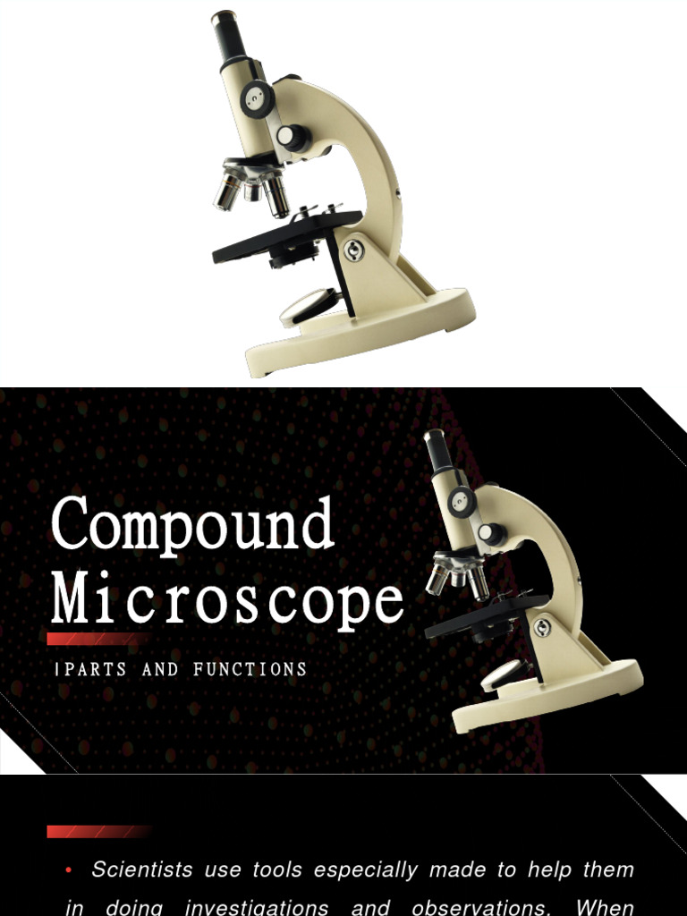 Compound Microscope - Week 1 | PDF | Microscope | Glass Engineering And ... Compound Microscope - Week 1 | PDF | Microscope | Glass Engineering And ...