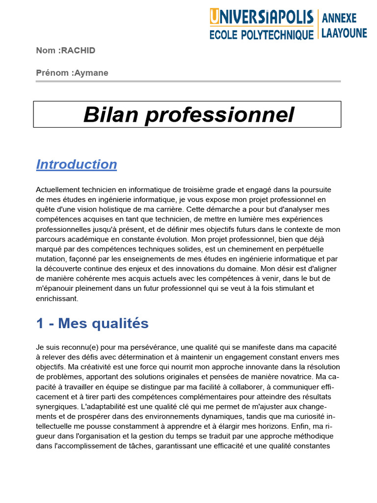Exemple Projet Professionnel | PDF | Ingénieur | Informatique