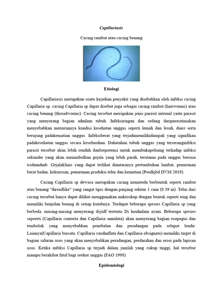 Capillariasis | PDF | Kesehatan Holistik | Sains & Matematika