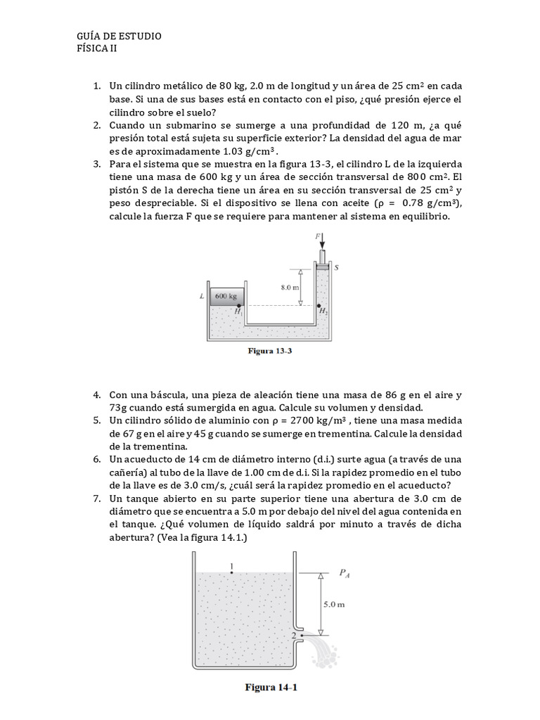 Guia Iii - Guía de Estudio | PDF