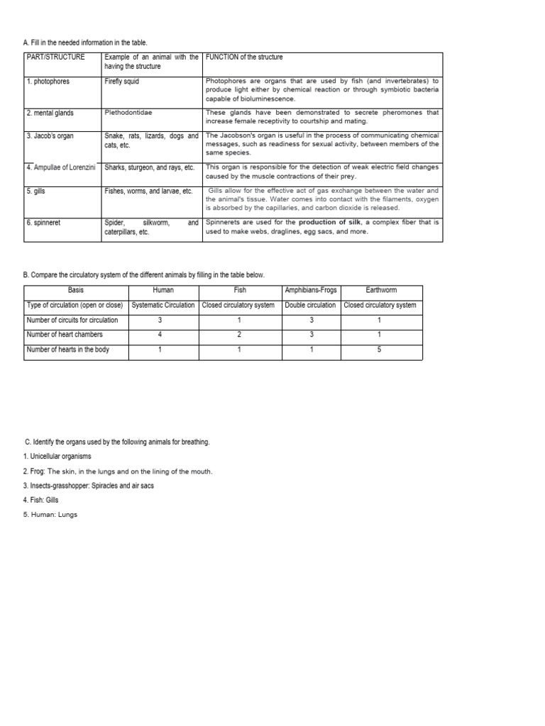 animal-system-worksheet-1 | PDF | Fish | Gill