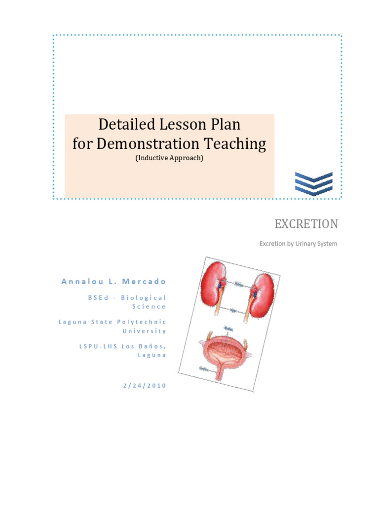Urinary System Excretion Lesson Plan | PDF | Kidney | Urine