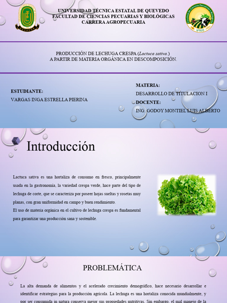 Antep Roy Ecto Pier I | PDF | Lechuga | Agricultura
