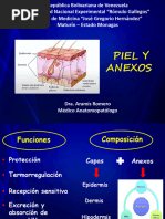 Digestión: Bolo, Quimo y Quilo | PDF | Digestión | Tracto gastrointestinal