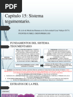 Digestión: Bolo, Quimo y Quilo | PDF | Digestión | Tracto gastrointestinal