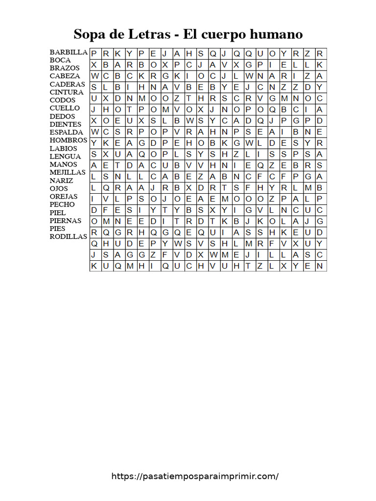 Sopa de Letras: Partes del Cuerpo Humano | PDF