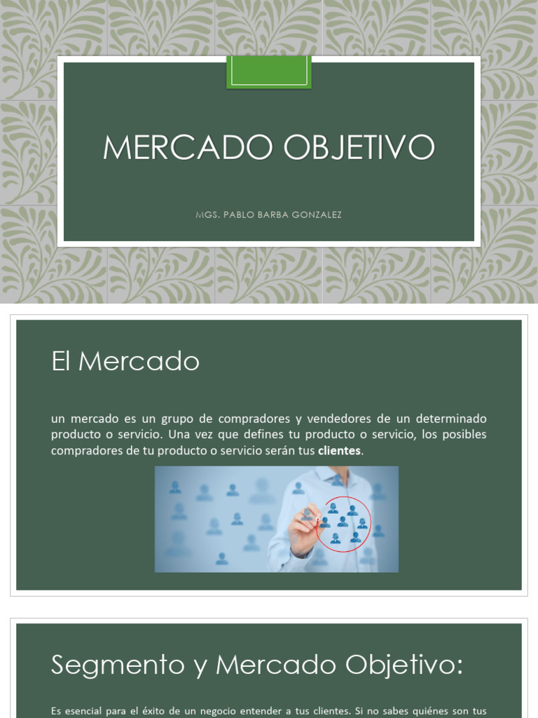 5. Mercado Objetivo | PDF