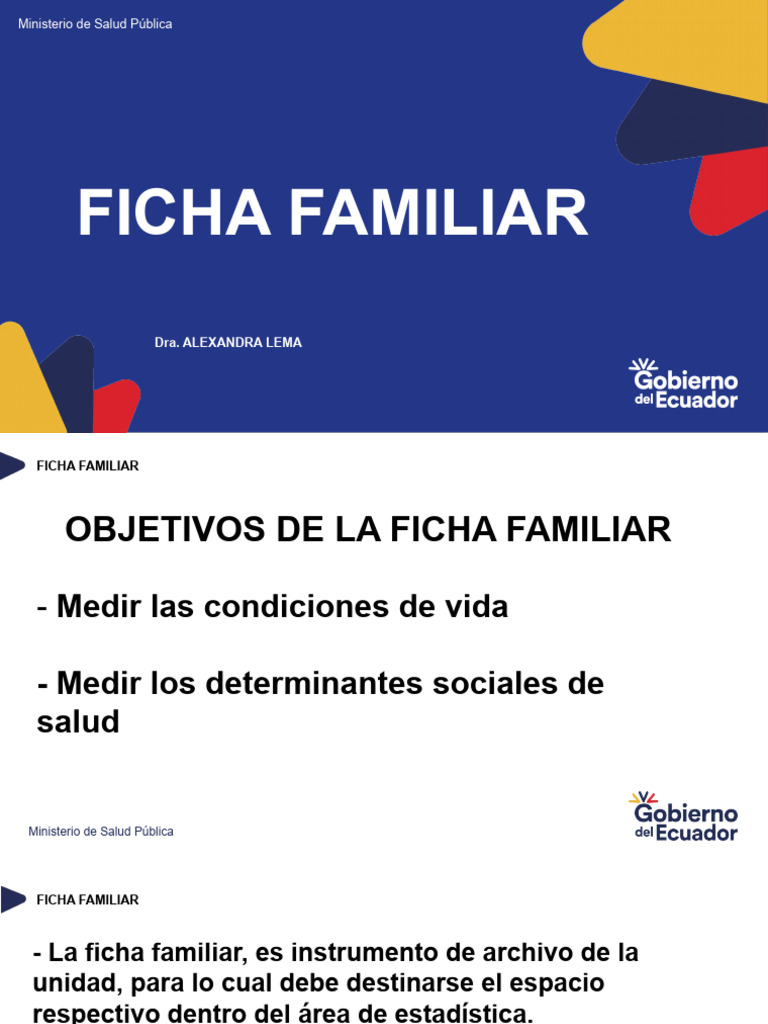 Ficha Familiar MINSAL 2024: Objetivos y Uso | PDF | Salud pública
