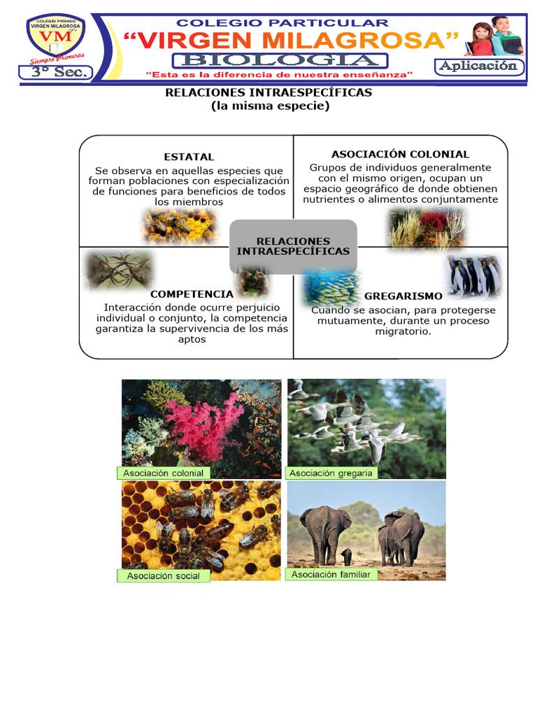 Relaciones Intra e Inter 3° Sec | PDF | Depredación | Simbiosis
