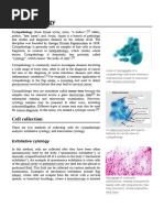 General Pathology: Workflow and Safety in The Histopathology Laboratory ...