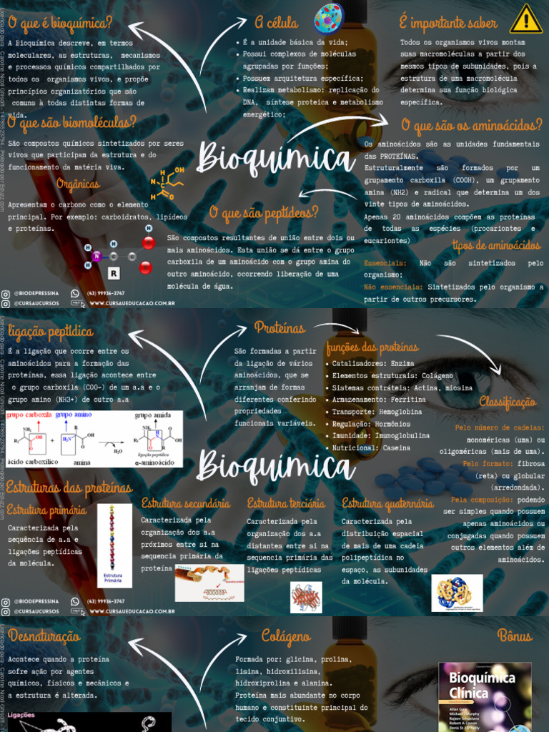Mapa Mental de Bioquímica | Download grátis PDF | Proteínas | Organismos