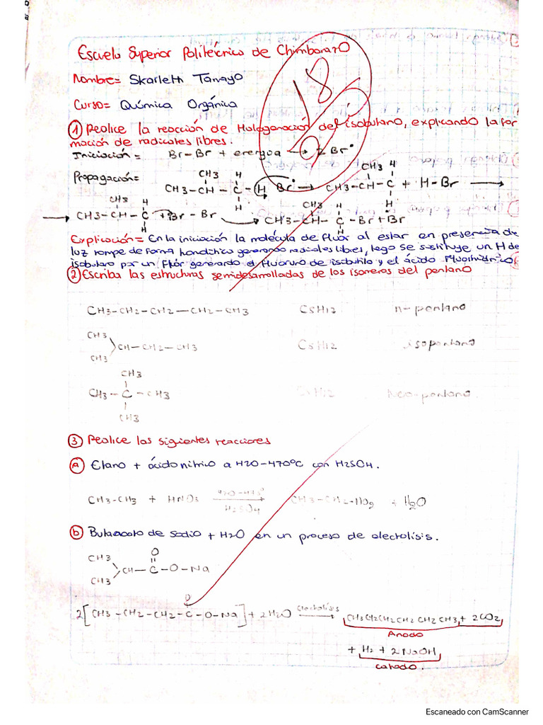 AI3 QOI Tamayo Skarleth | PDF