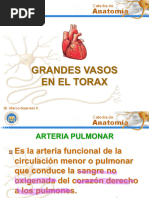 Conducto Torácico: Anatomía y Función | PDF | Tórax | Sistema linfático