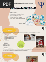 Guía de Aplicación de La Prueba Wisc Iv | PDF | Crecimiento personal y profesional
