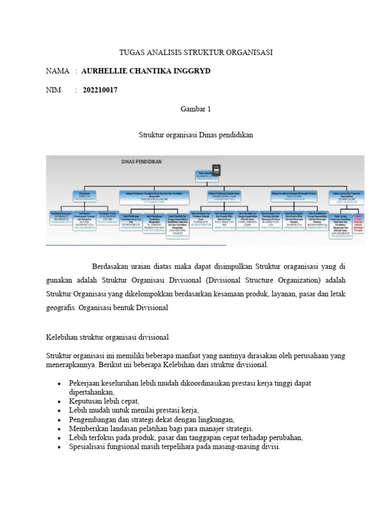 Tugas Analisis Struktur Organisasi Aurel | PDF | Karier & Perkembangan | Pengelolaan Keuangan & Uang