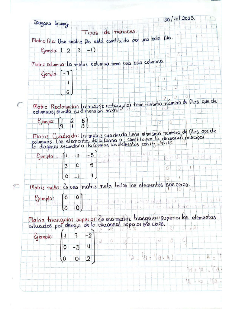 Tipos de Matrices | PDF