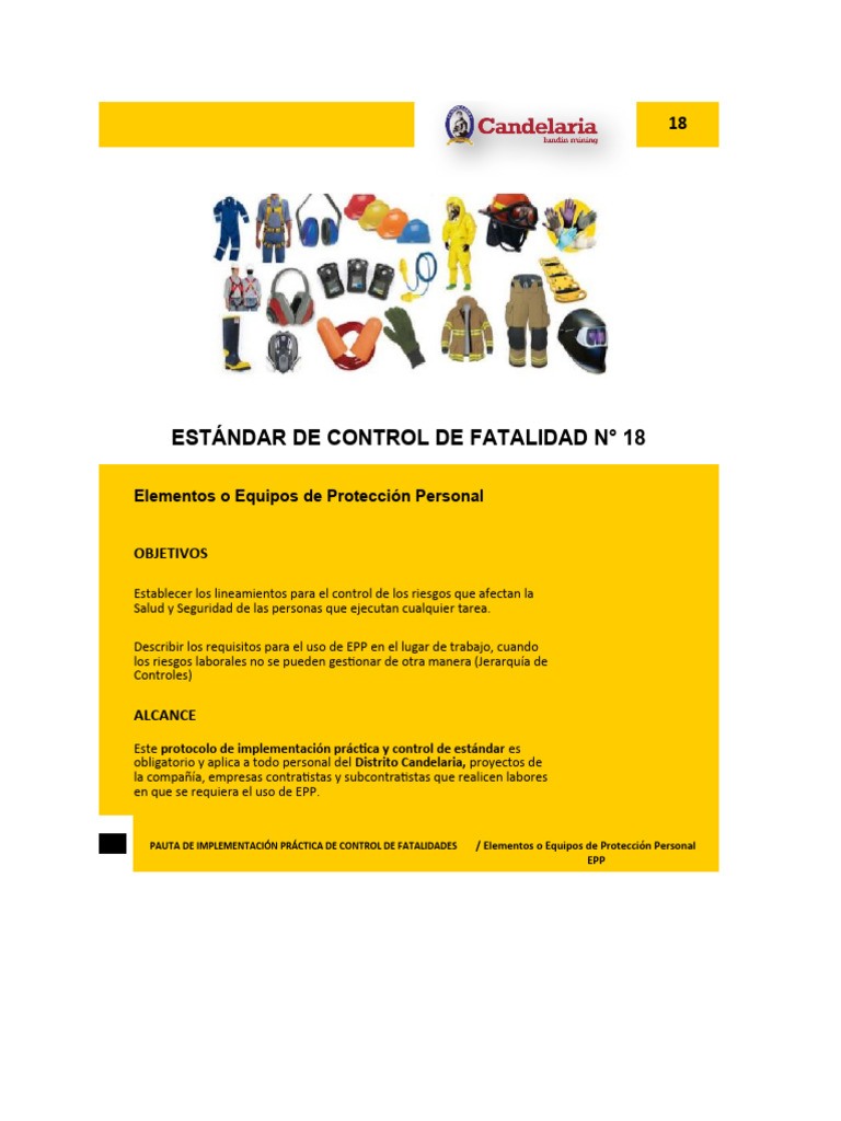 Estándar de EPP # 18 | PDF