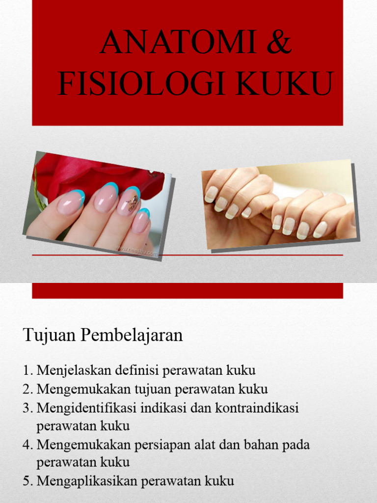 P. 1 Anatomi & Fisiologi Perawatan Kuku | PDF | Kesehatan Holistik