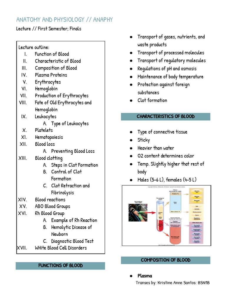 Anaphy Transes 11.08.23 Circulatory System | PDF | White Blood Cell ...