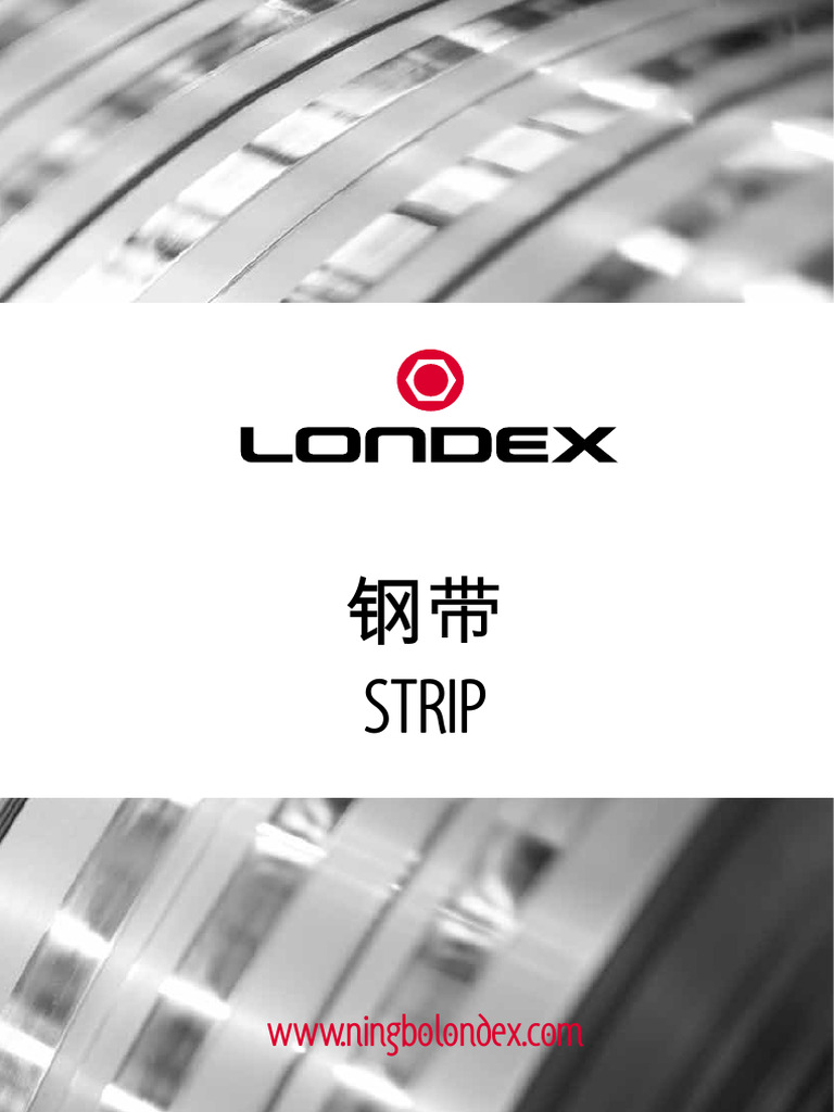 londex_strip_v6_0 | PDF | Steel | Metals