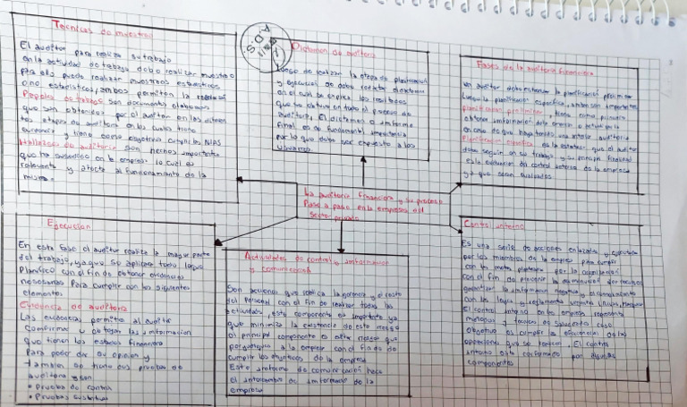 Mapa Conceptual 11 | PDF
