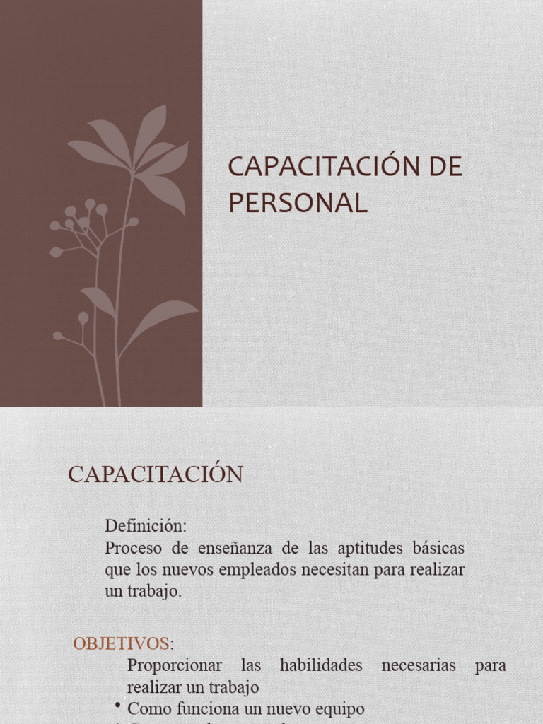 Capacitación de Personal | PDF | Gestión de recursos humanos | Evaluación