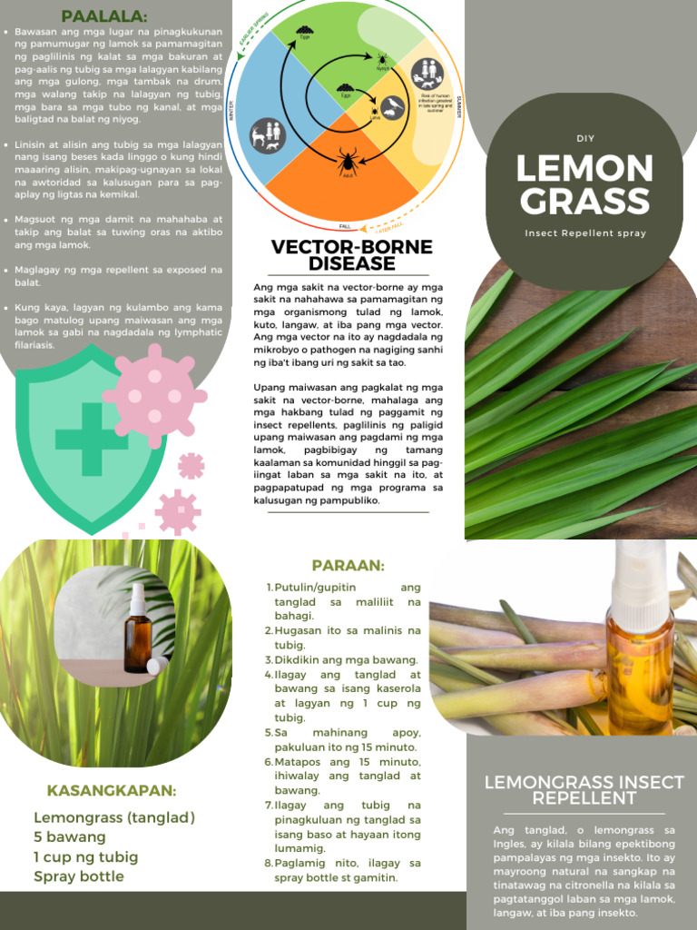 Lemongrass Mosquito Repellent Brochure | PDF