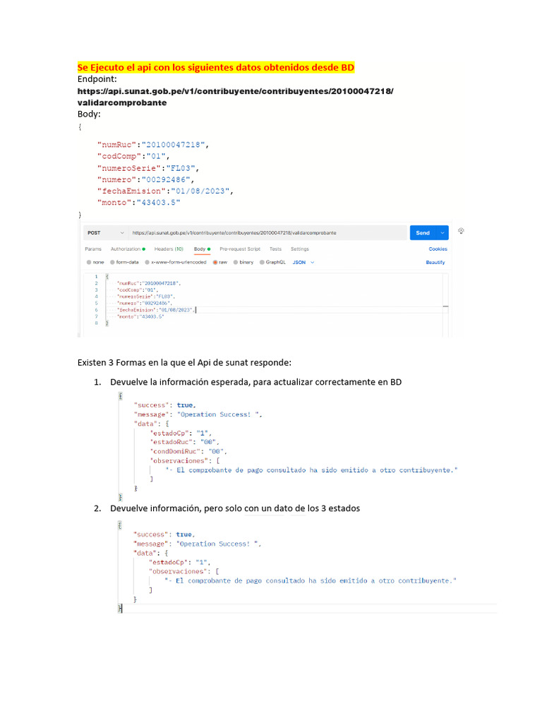 Api Sunat | PDF