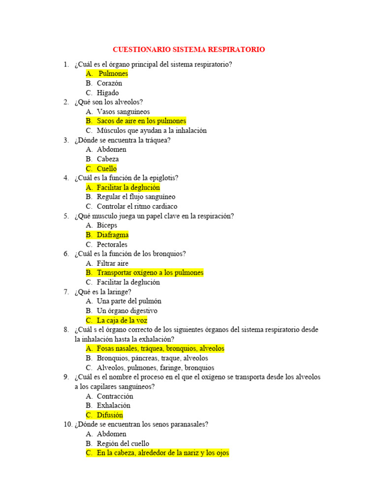 Cuestionario Sistema Respiratorio | PDF | Pulmón | Sistema respiratorio Cuestionario Sistema Respiratorio | PDF | Pulmón | Sistema respiratorio