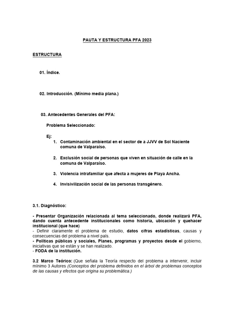 Pauta y Estructura Pfa 2023 | PDF